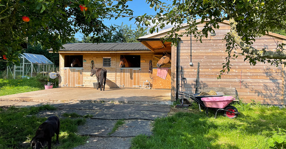 Case Study - Small stable block - Equestrian Blueprint